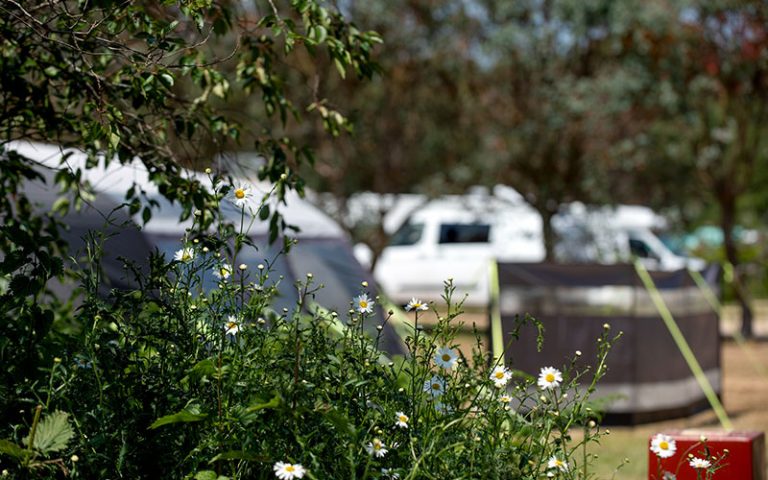 The Park - Back of Beyond - Touring Camping & Glamping Park