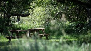 Touring - Back of Beyond - Touring Camping & Glamping Park